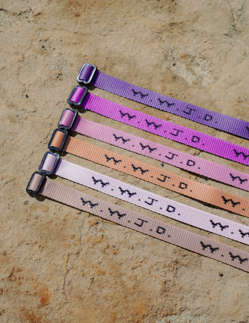 WWJD Paradise Bracelet Pack | WWJD Bracelets | Elevated Faith