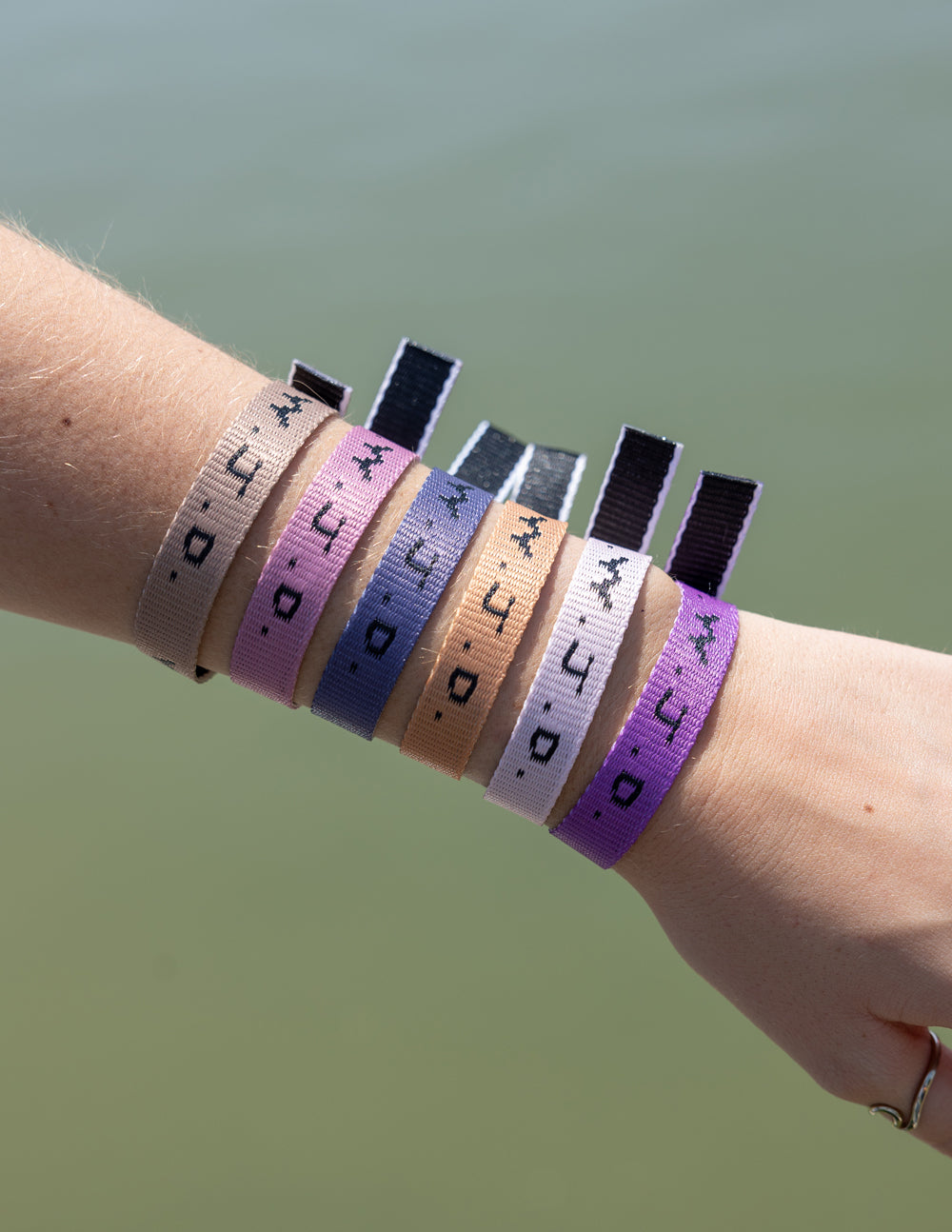 WWJD Paradise Bracelet Pack | WWJD Bracelets | Elevated Faith