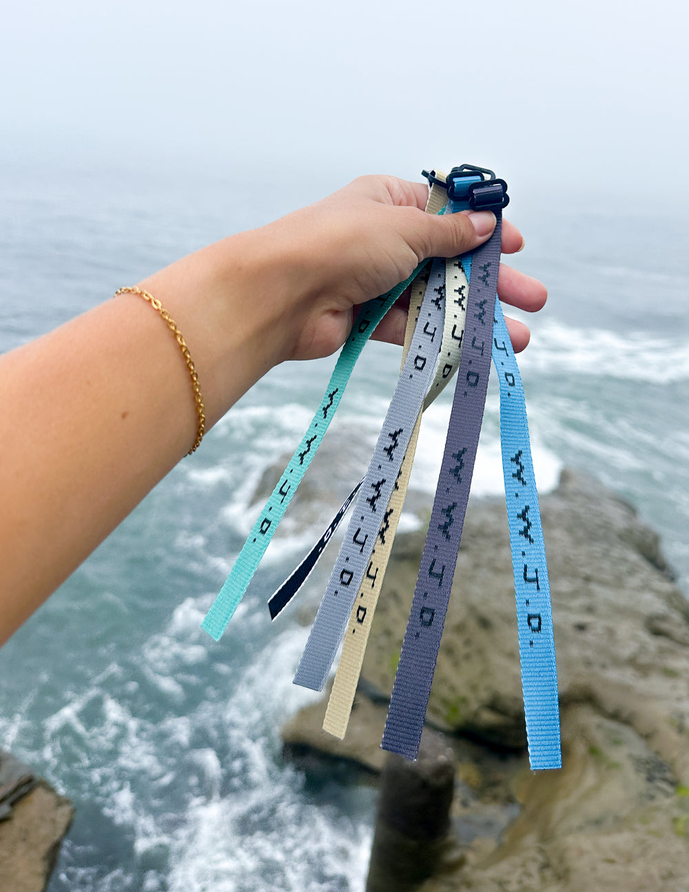 WWJD Surf Bracelet Pack | WWJD Bracelets | Elevated Faith